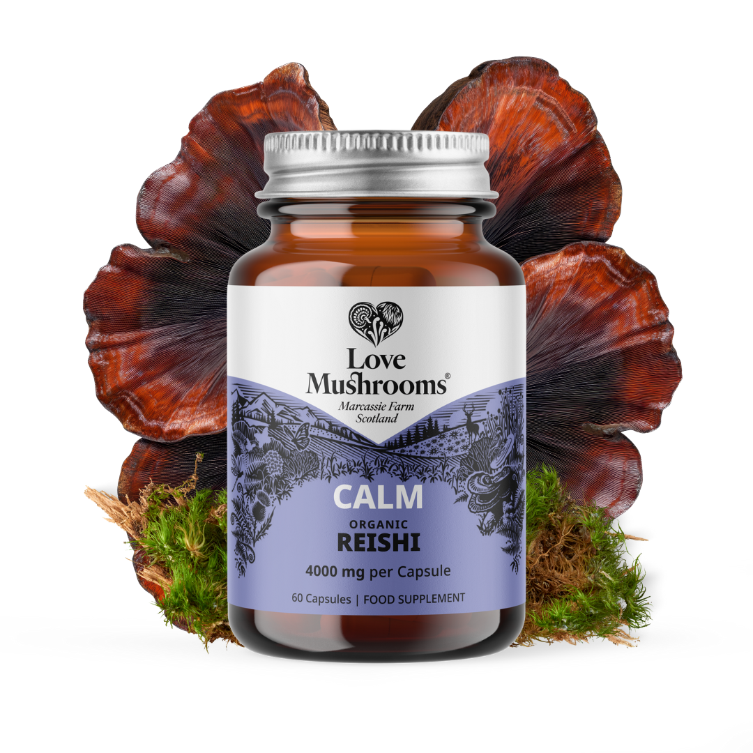 Reishi Capsules (60) – 4000mg per Capsule – Love Mushrooms